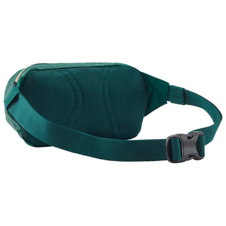 Sac banane Patagonia Terravia Mini Hip Pack Cascade Green - Hiver 2026 ...