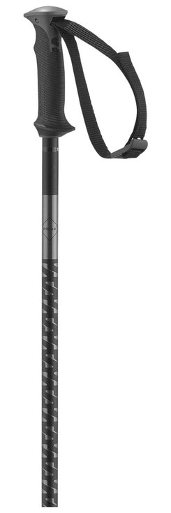 Salomon Poles Polar Black - Winter 2026 | Glisshop