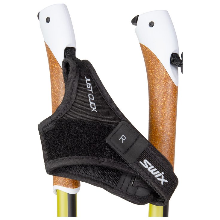 Swix Nordic Ski Pole Dynamic D3 50% Carbon - Winter 2026 | Glisshop